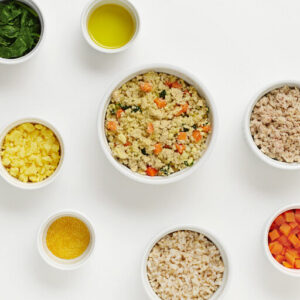 10 Best Fresh Dog Food Brands - Must Read This Before Buying