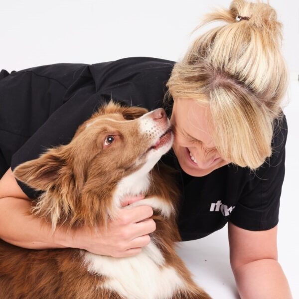 Itch Pet Review - Must Read This Before Buying