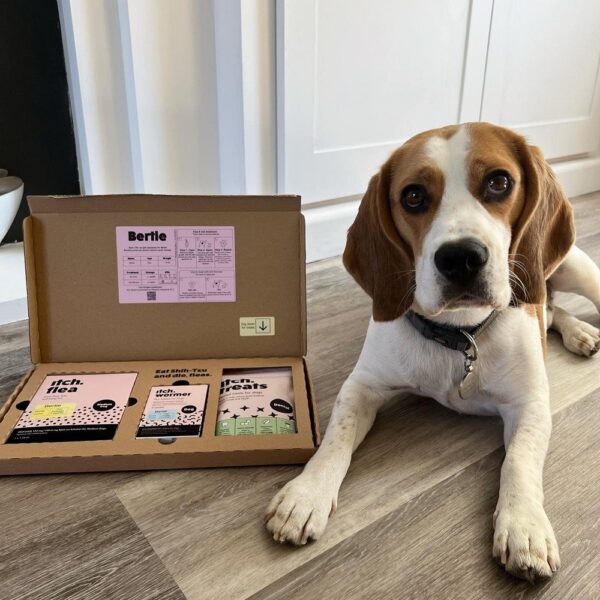 Itch Pet Review - Must Read This Before Buying