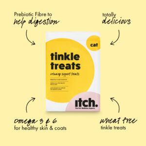 Itch Pet Review - Must Read This Before Buying