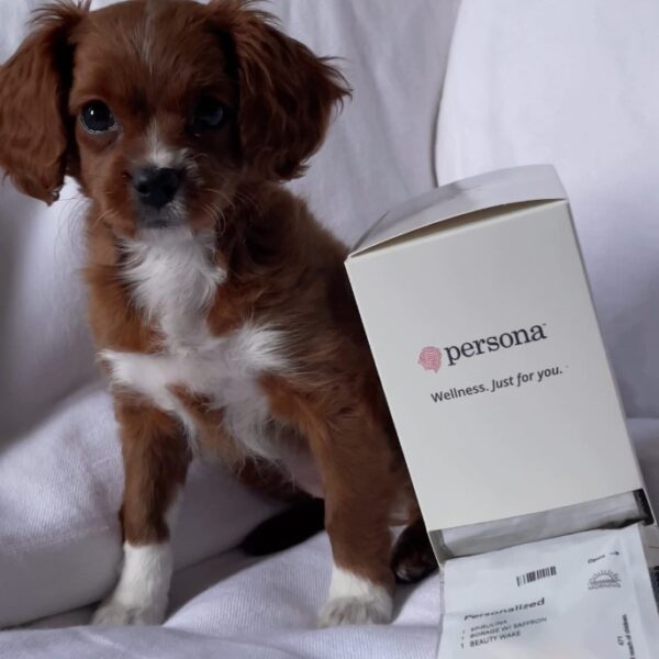 Persona Nutrition Personalized Vitamin Packs Review - Must Read This ...