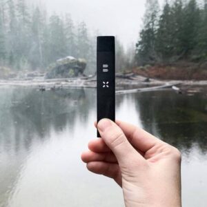 PAX Review - Must Read This Before Buying