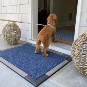Porte + Hall Review - Must Read This Before Buying