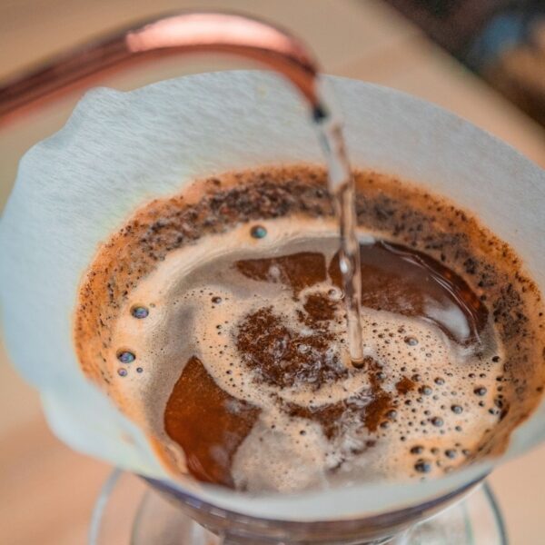 Balance Lion’s Mane Mushroom Coffee Review - Must Read This Before Buying