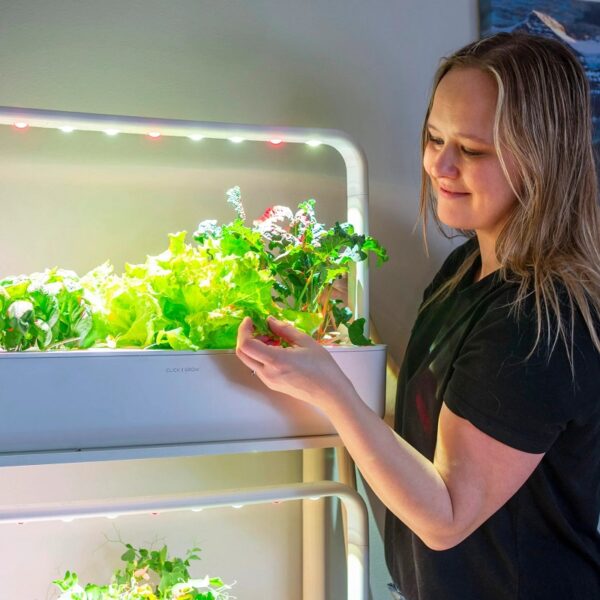 10 Best Indoor Growing Systems - Must Read This Before Buying