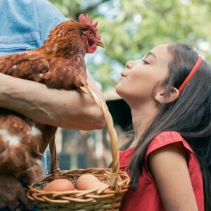 7 Stores Like Tractor Supply for Farming and Outdoor Needs - Must Read ...