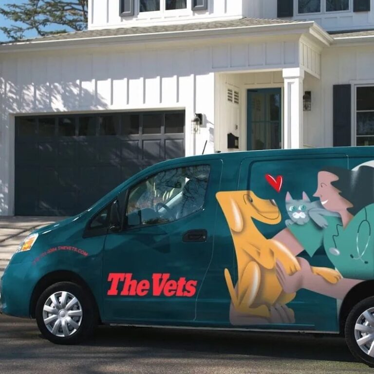 The Vets Review - Must Read This Before Buying