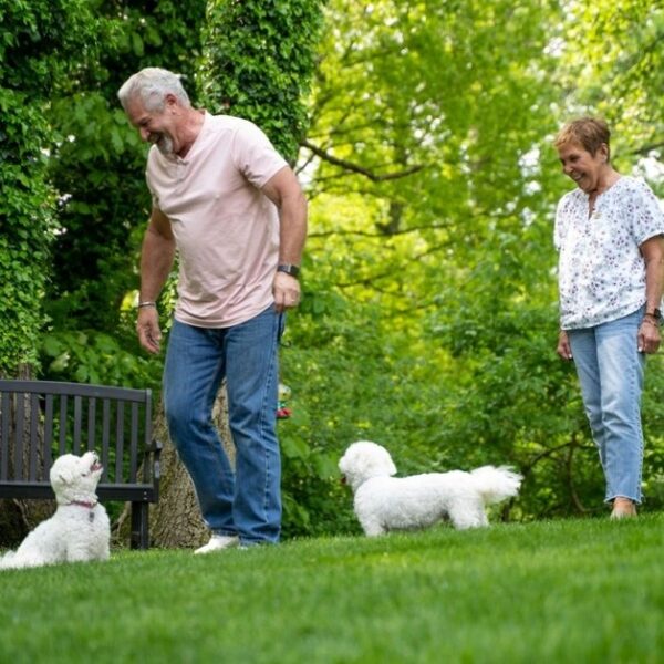 Green Lawn Fertilizing Review Must Read This Before Buying