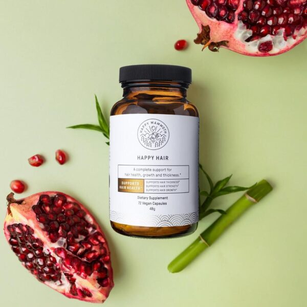 Happy Mammoth Review - Must Read This Before Buying