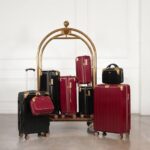 LugLess Review - Must Read This Before Buying