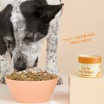 Lyka Pet Food Review - Must Read This Before Buying