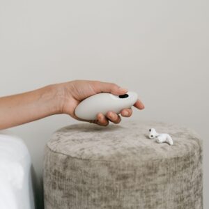 Moonbird Review - Must Read This Before Buying