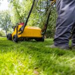 Spring Green Review - Must Read This Before Buying