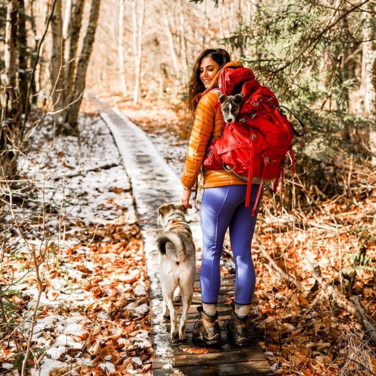 Stio Review - Must Read This Before Buying