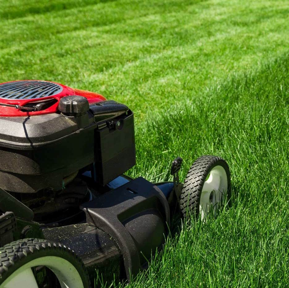 TruGreen Review - Must Read This Before Buying