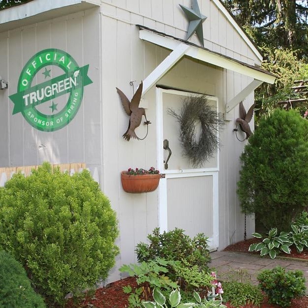 TruGreen Review - Must Read This Before Buying