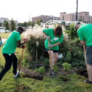 TruGreen Review - Must Read This Before Buying