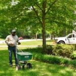 TruGreen Review - Must Read This Before Buying