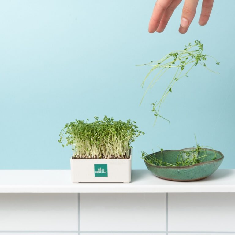 Urban Leaf Review: The Ultimate Guide to Indoor Gardening - Must Read ...