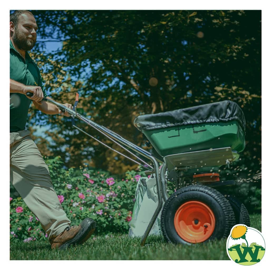 Weed Man Review - Must Read This Before Buying