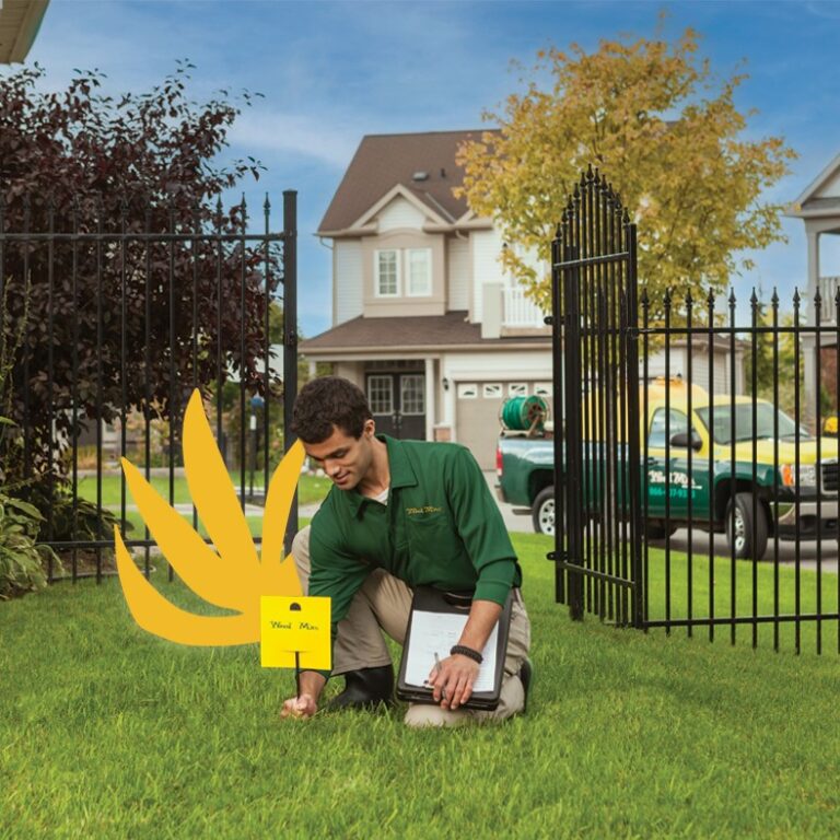 Weed Man Review - Must Read This Before Buying