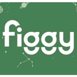 Figgy Play Couch Review - Must Read This Before Buying