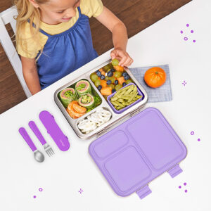 Bentgo Review: A Comprehensive Look at This Bento Box - Must Read This ...