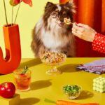 The Pets Table Review - Must Read This Before Buying