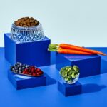 The Pets Table Review - Must Read This Before Buying