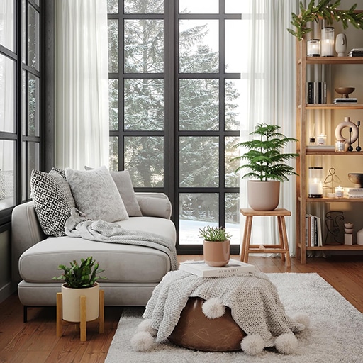 Easy Plant.com Review: A Comprehensive Look at the Online Plant Store ...