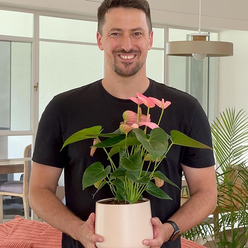 Easy Plant.com Review: A Comprehensive Look at the Online Plant Store ...