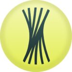 Remento Review - Must Read This Before Buying