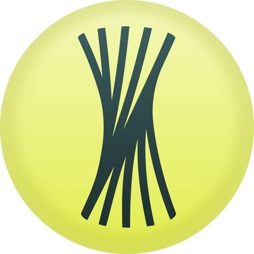 Remento Review - Must Read This Before Buying