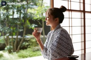 Adobe Stock Review - Must Read This Before Buying