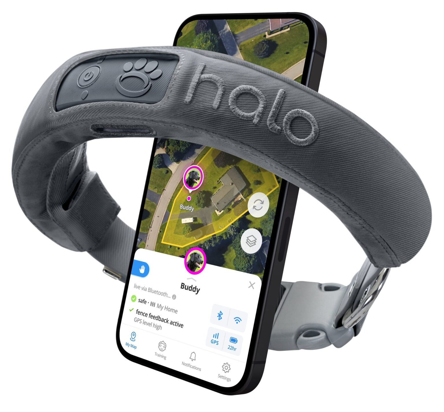 Halo Collar vs. SpotOn Review - Must Read This Before Buying