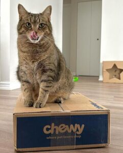 Chewy Canada Review - Must Read This Before Buying