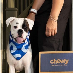 Chewy Canada Review - Must Read This Before Buying