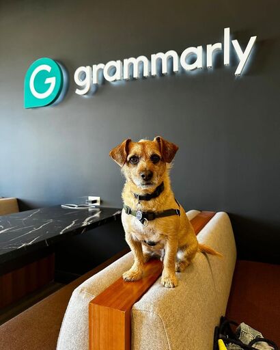Grammarly Review - Must Read This Before Buying