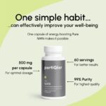 PartiQlar Review - Must Read This Before Buying