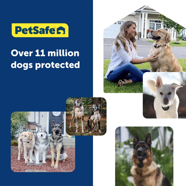 PetSafe’s Guardian® GPS + Tracking Dog Fence Collar Review: Gives Your ...