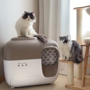 PetSnowy SNOW+ Self-Cleaning Litter Box Review: The Self-Cleaning ...