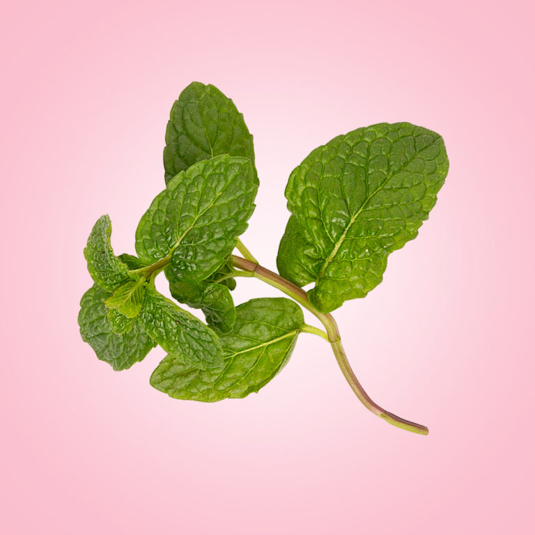 Flo Vitamins Review - Must Read This Before Buying