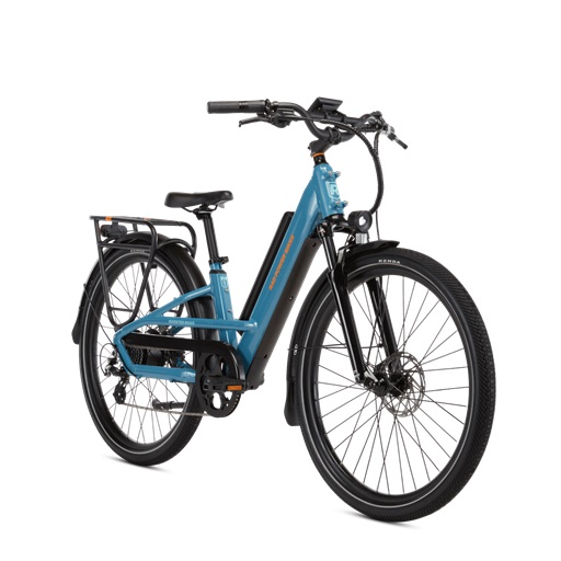 Rad Power Bikes Review - Must Read This Before Buying