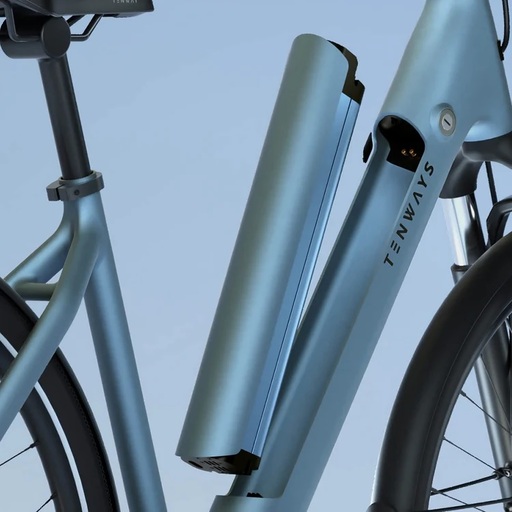 Tenways CGO800S E-Bike Review: Does Its Performance Match Its Style? - Must Read This Before Buying