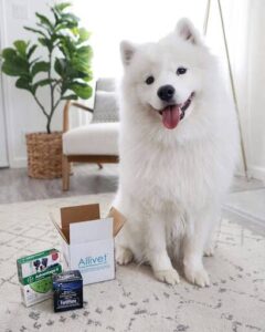 Allivet Review: Making Pet Care Less Ruff and More Rewarding - Must ...