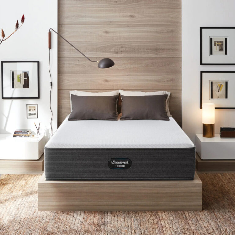 Beautyrest vs Sealy: Which One Can Make You Sleep Like Royalty? - Must ...