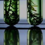Sick Science Review - Must Read This Before Buying