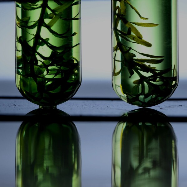 Sick Science Review - Must Read This Before Buying