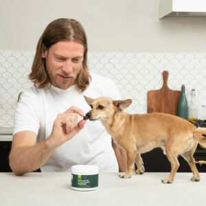 Wuffes Joint Supplements Review - Must Read This Before Buying