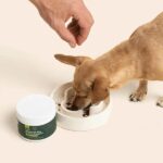 Wuffes Joint Supplements Review - Must Read This Before Buying